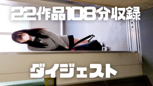 （再販）ダイジェスト版22作品104分収録してるよ！（12/31まで）